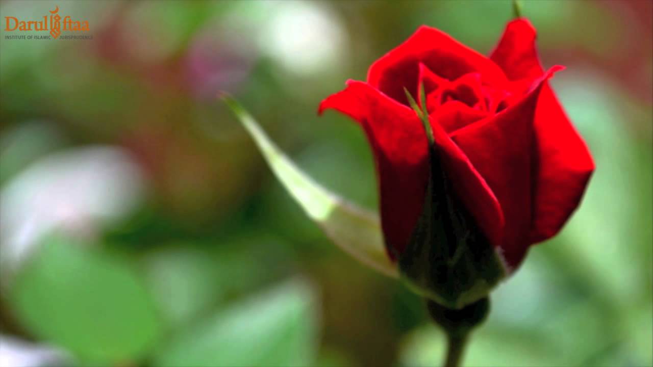 Islamic Guide To Sexual Relations [audio] Mufti Muhammad Ibn Adam Al